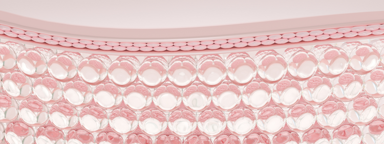 The Microscopic World on Your Skin: Understanding Skin Microbiomes ...